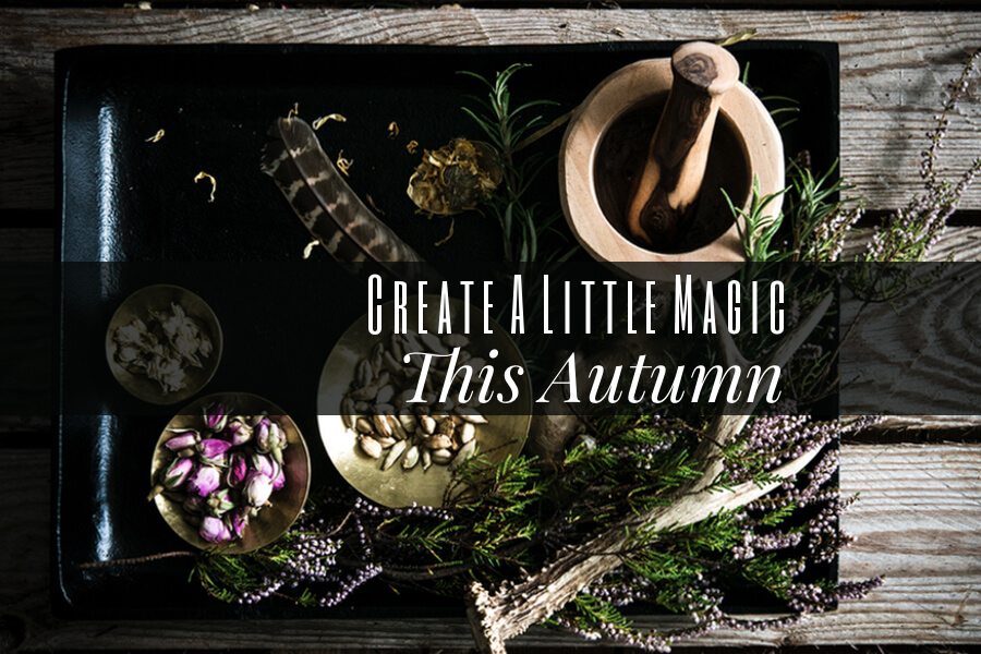 Curious Egg Blog. Musings on the Worlds of Art and Interiors.